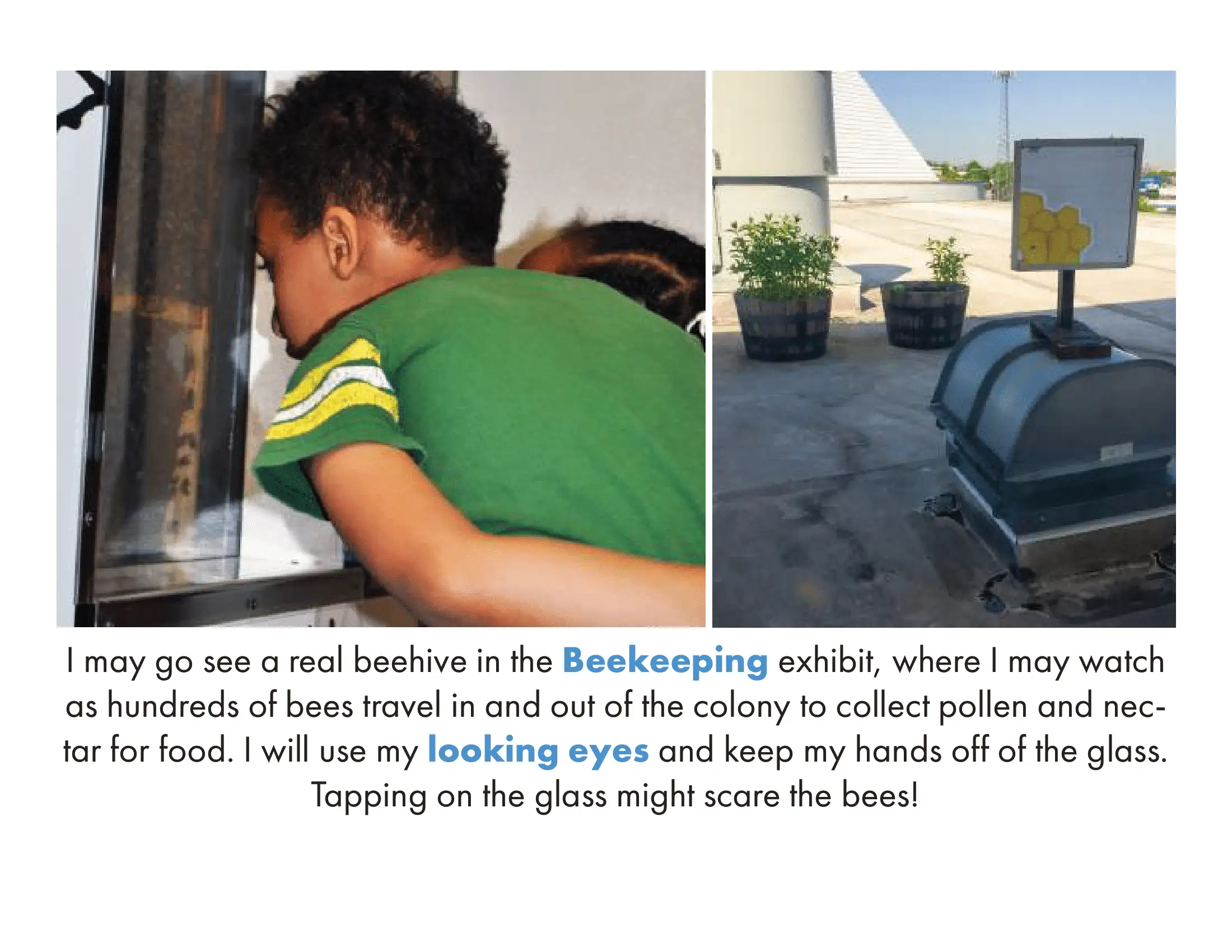 Adventure Science Center Map (2025-2021) - All Maps