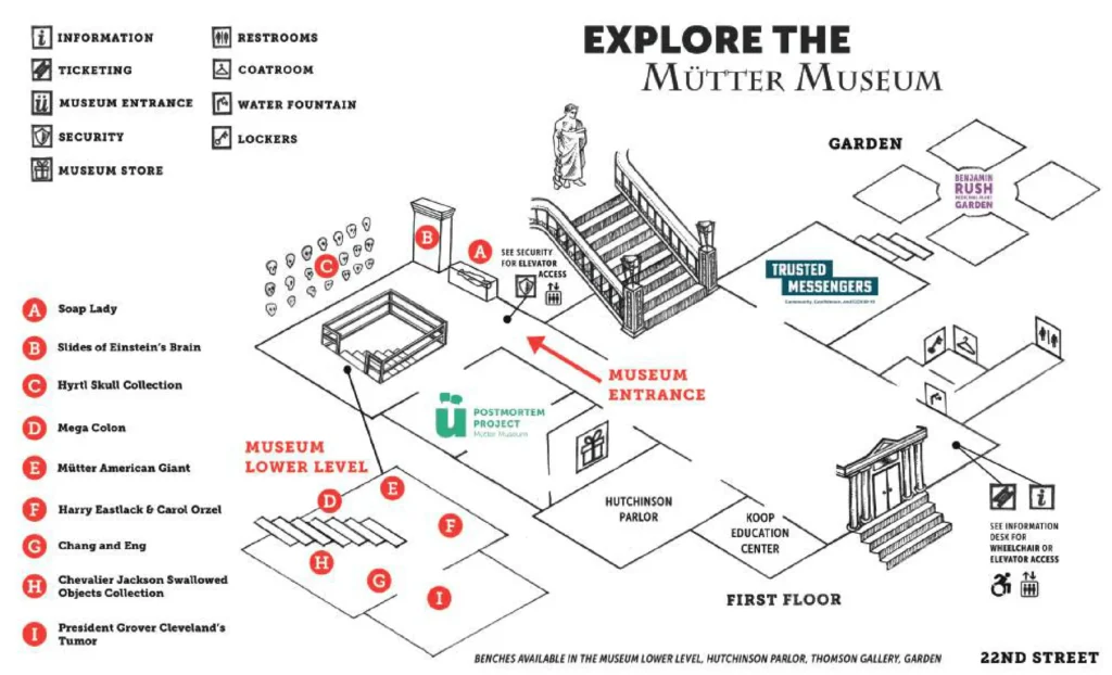 The Mütter Museum Map (2025-2019) - All Maps