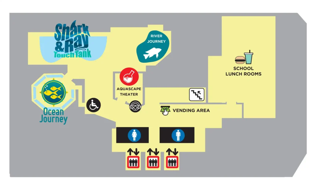 McWane Science Center Museum Map (2025) - All Maps