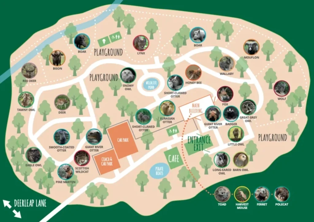 New Forest Wildlife Park Map (2024 - 2022) - All Maps