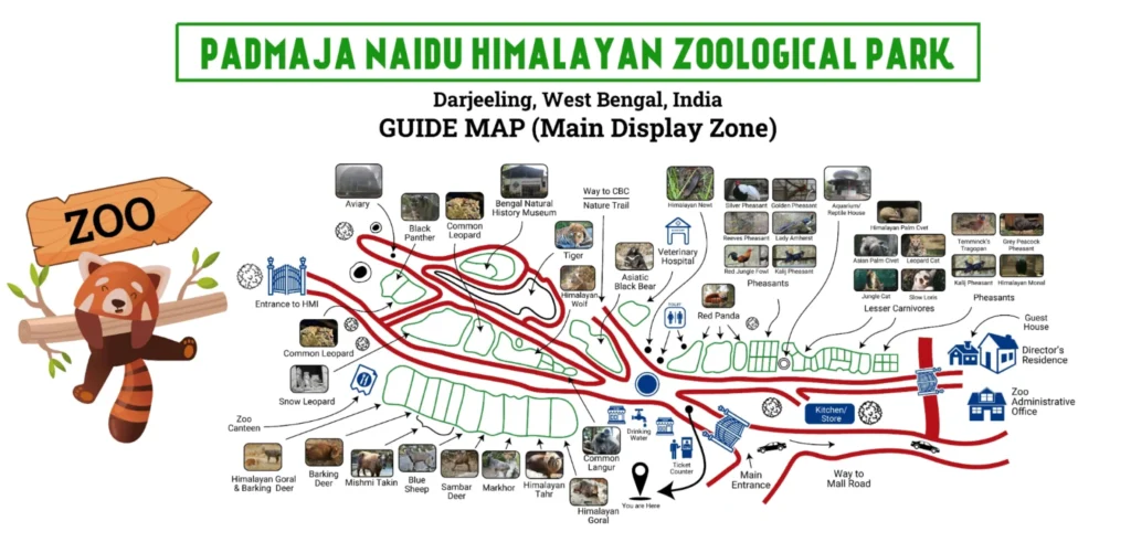 Padmaja Naidu Himalayan Zoological Park Map (2023) - All Maps