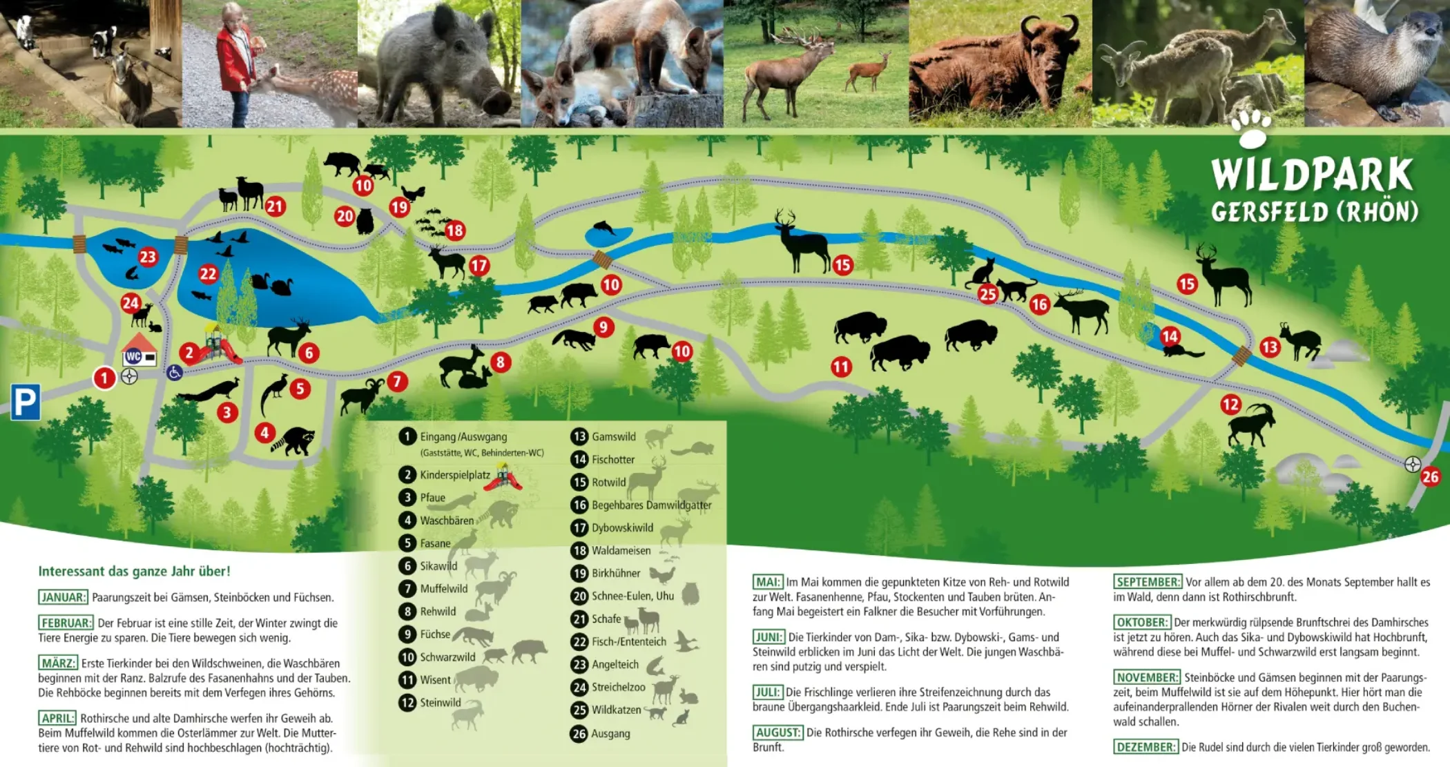 Wildpark Gersfeld Map (2024 - 2017) - All Maps